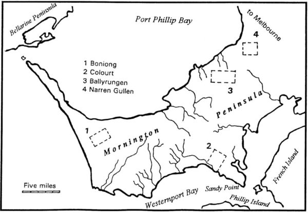 Three young men named Meyrick - peninsula essence