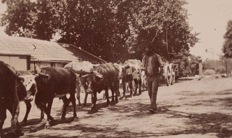 'Coolart' – the house that Grimwade built - peninsula essence