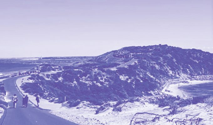 Tom Ripon Meshing Art with Nature - peninsula essence