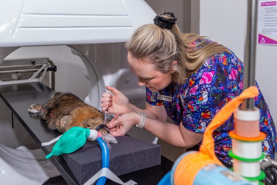 Vets for Unusual Pets - peninsula essence