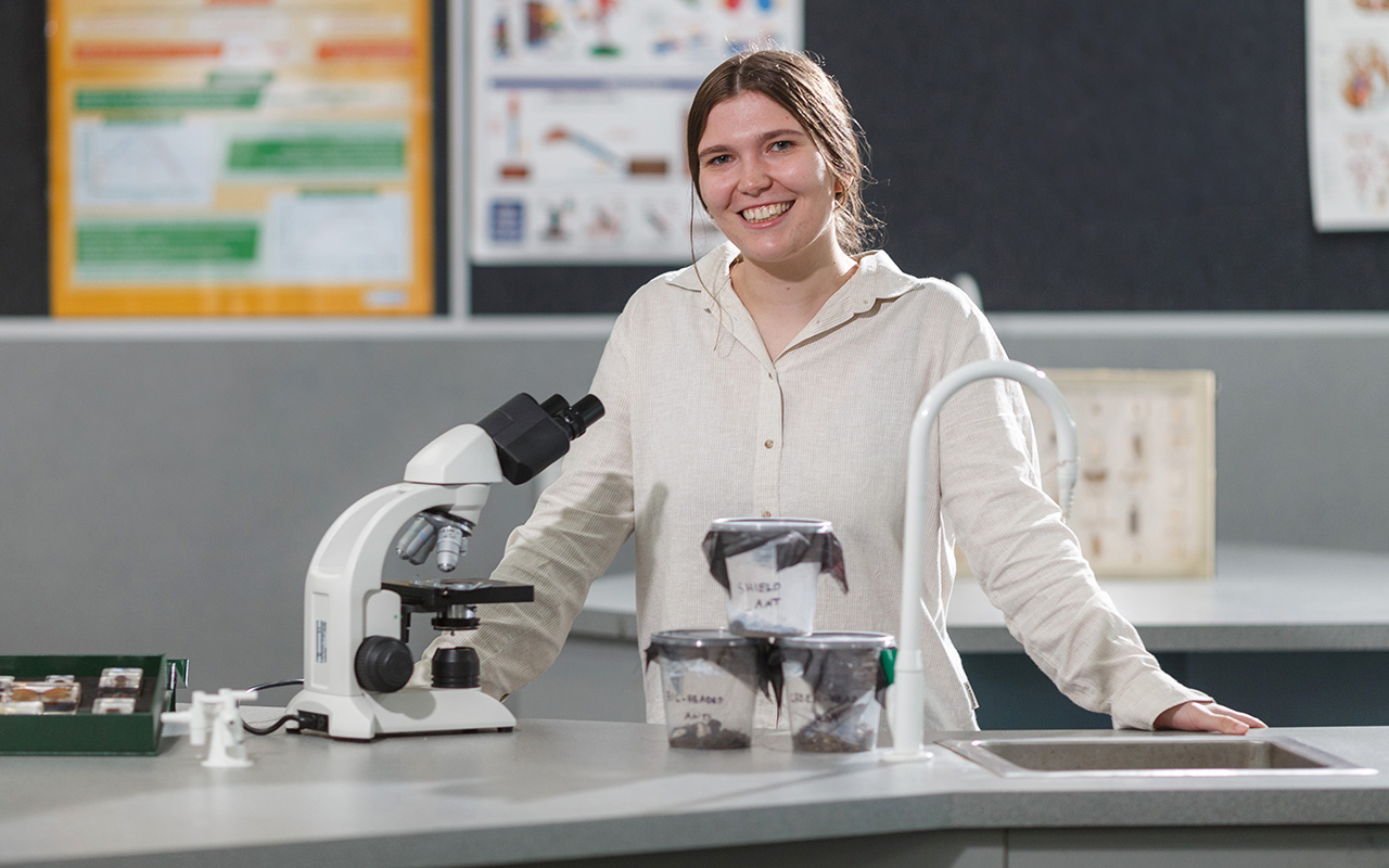 Tiny Mysteries - peninsula essence